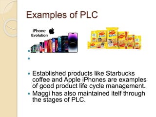 Product Life Cycle.pptx