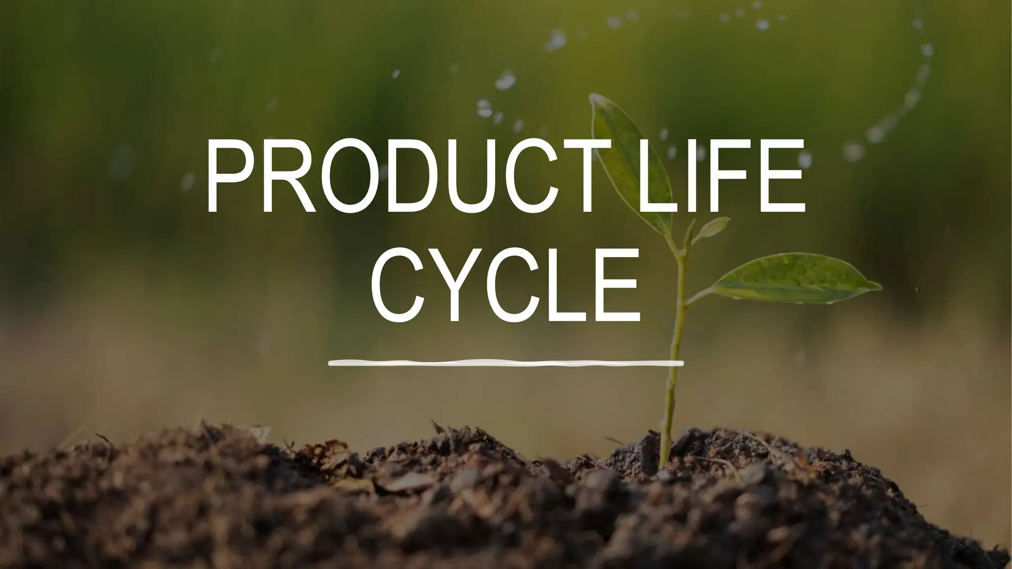 THE STAGES IN THE PRODUCT LIFE CYCLE.pptx