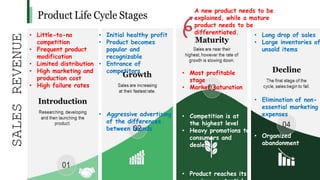 THE STAGES IN THE PRODUCT LIFE CYCLE.pptx