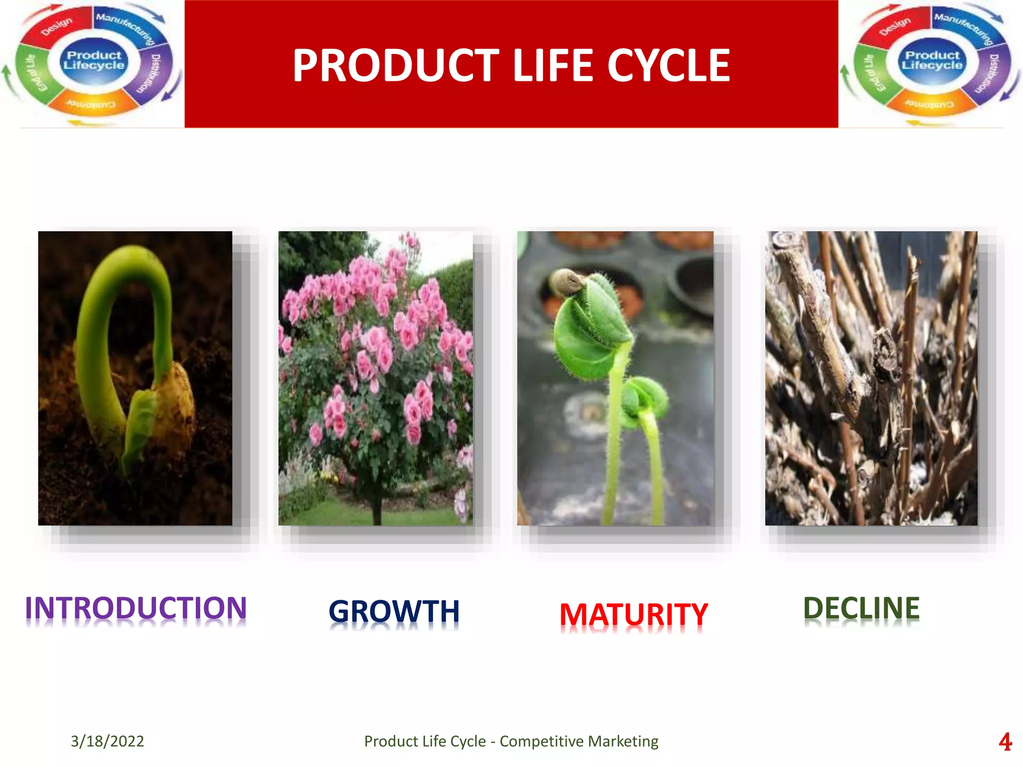 Product life cycle | PPTX