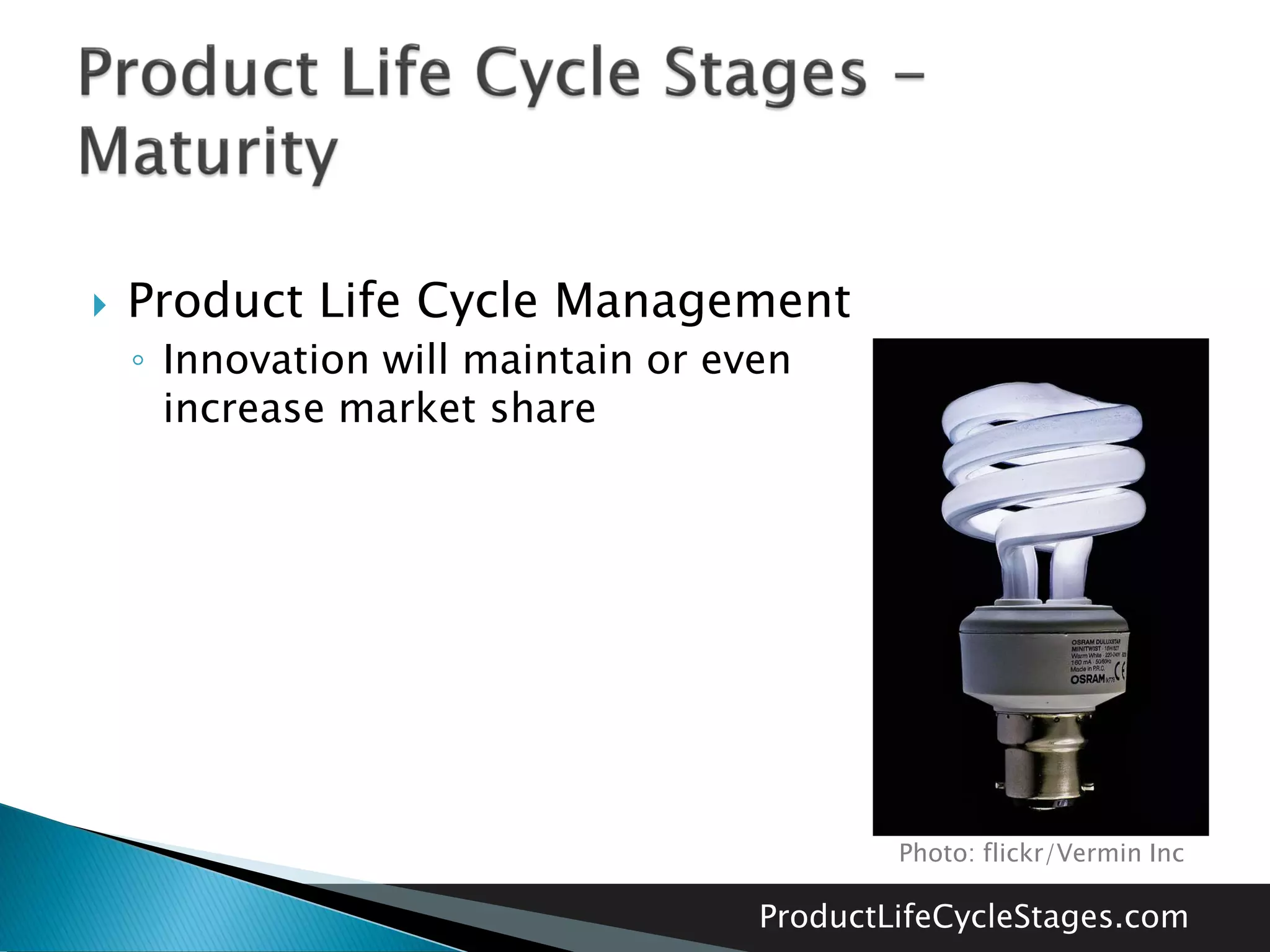 Product Life Cycle Stages Explained | PDF