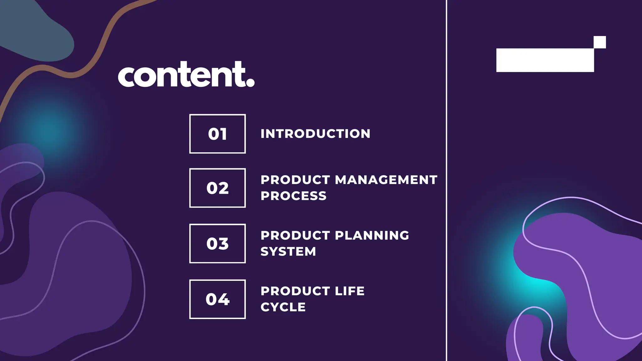 Introduction to Product Management Presentation | PDF
