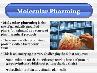 Product of modern biotechnology | PPT