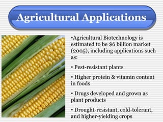 Examples Of Biotechnology Products