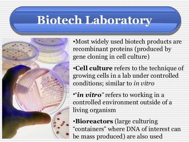 Product of modern biotechnology