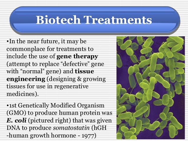 Product of modern biotechnology