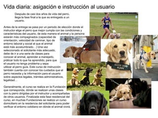 GUÍA DE PERROS LAZARILLO | PPTX