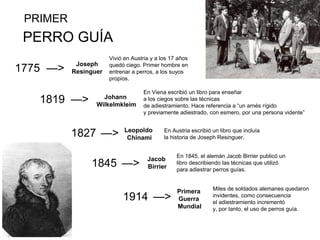 GUÍA DE PERROS LAZARILLO | PPTX