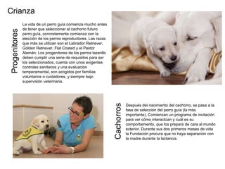 GUÍA DE PERROS LAZARILLO | PPTX