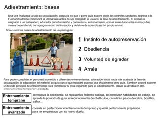 GUÍA DE PERROS LAZARILLO | PPTX