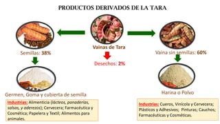 PRODUCTOS DERIVADOS DE LA TARA SPINOSA 1 | PDF