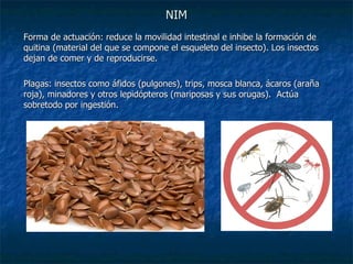 Productos ecológicos para curar | PPT