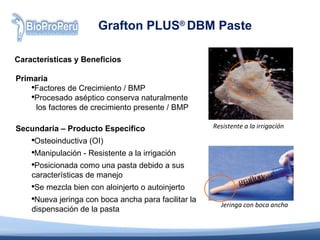 BioProPeru: Productos Osteobiologicos | PPT