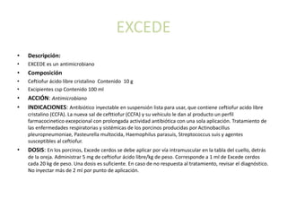 Productos y servicios. | PPTX