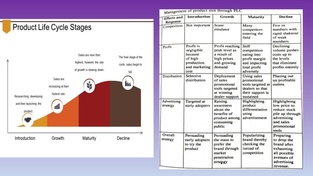 Product, Pricing and Market Segmentation.pptx