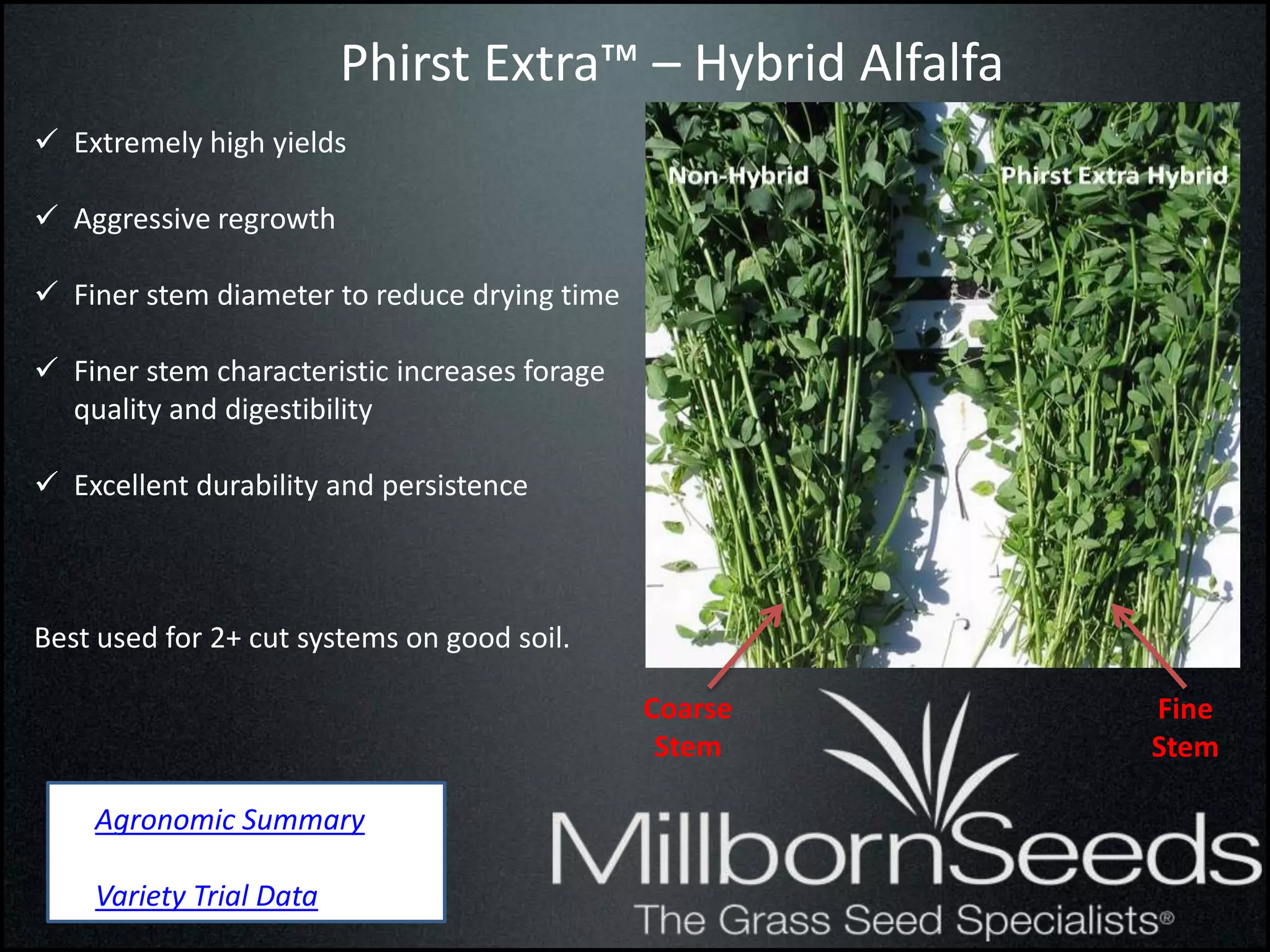 Millborn Seeds - Alfalfa | PPT
