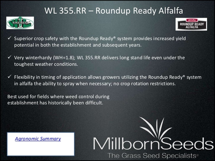 Millborn Seeds - Alfalfa