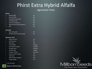 Alfalfa Products | PPTX | Agriculture | Industries