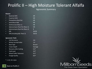 Alfalfa Products | PPTX | Agriculture | Industries