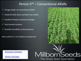 Alfalfa Products | PPTX | Agriculture | Industries