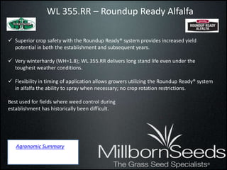 Alfalfa Products | PPTX | Agriculture | Industries