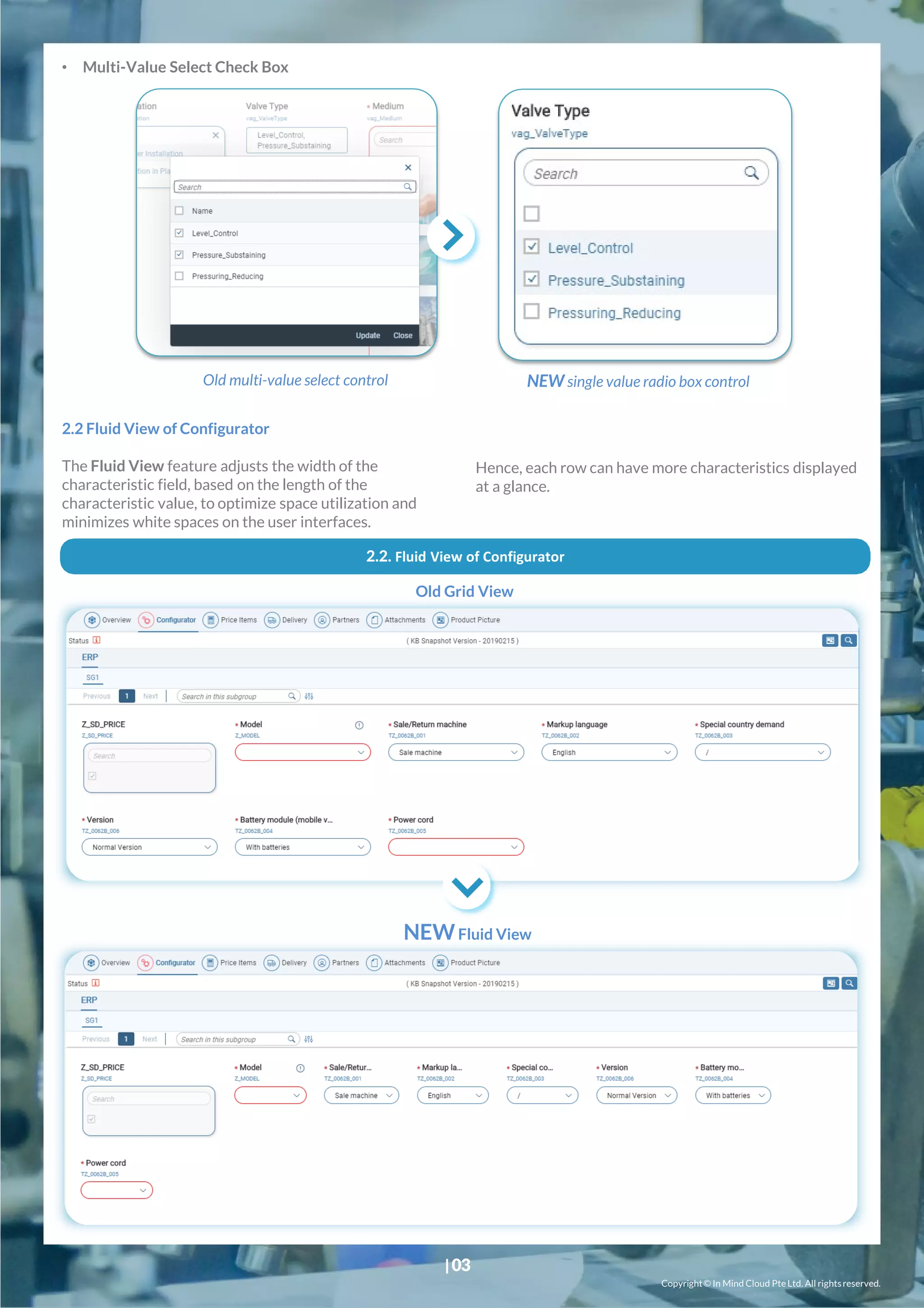 In Mind Cloud - Product Release - 1904 | PDF