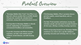 Product Introduction Strategy Presentation | PDF