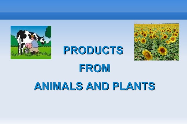 Products from animals and plants | ODP
