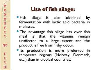Products of fish | PPT