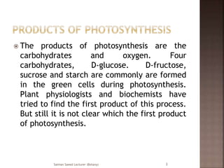 Products of Photosynthesis by Salman Saeed Lecturer Botany | PPT