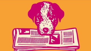 Driving Innovation in News - Julia Beizer | PDF