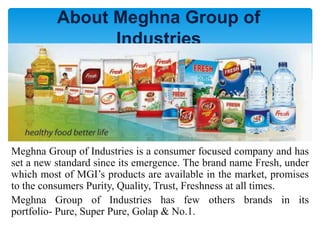 Product System and Mixes about Meghna Group of Industries Bangladesh | PPTX