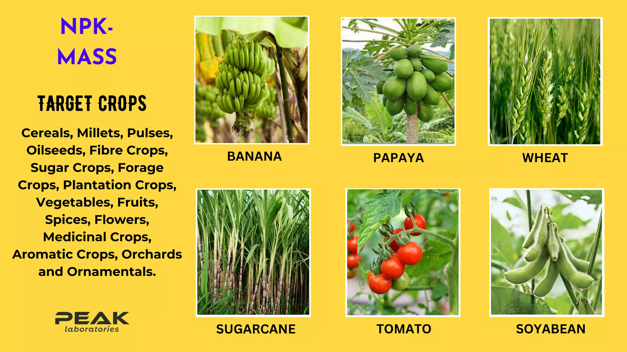 Peak laboratory products | PDF