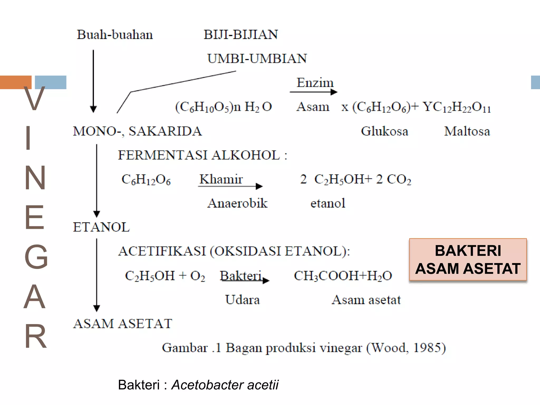 PRODUK FERMENTASI BAKTERI ASAM ASETAT.pptx