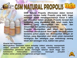 Produk Lebah Madu GSM | PPTX
