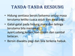 Produk kesihatan rawatan resdung | PPTX