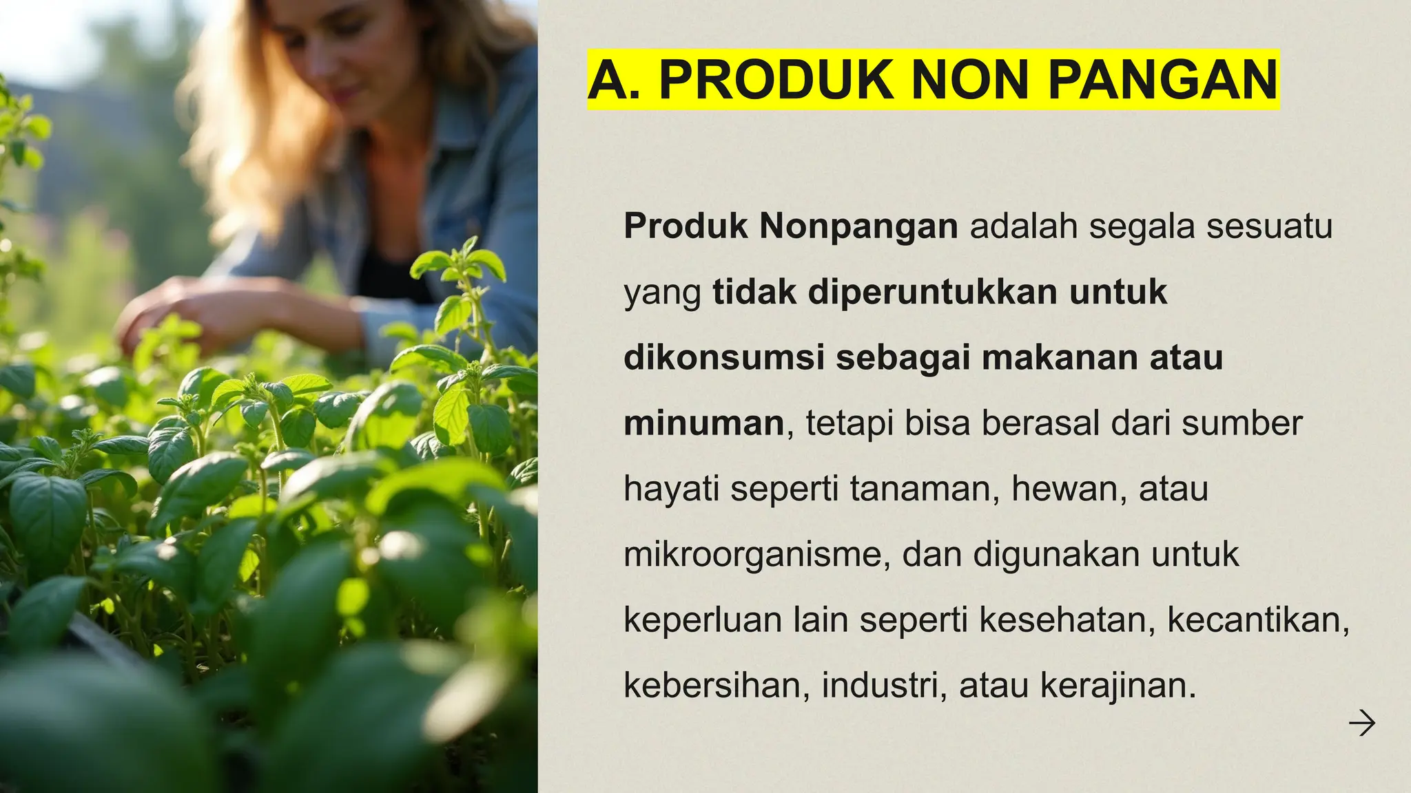 Produk Nonpangan dari Tanaman Herbal.pptx