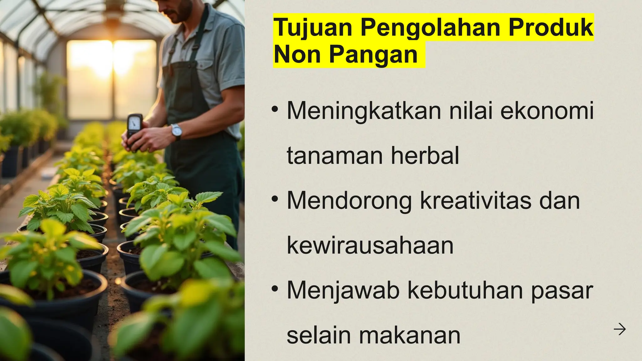 Produk Nonpangan dari Tanaman Herbal.pptx