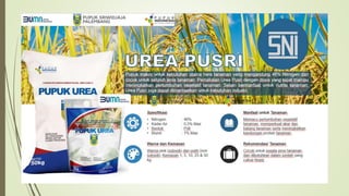 produk pusri (1).pptx