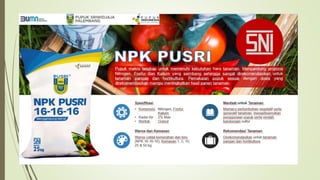 produk pusri (1).pptx