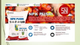 produk pusri (1).pptx