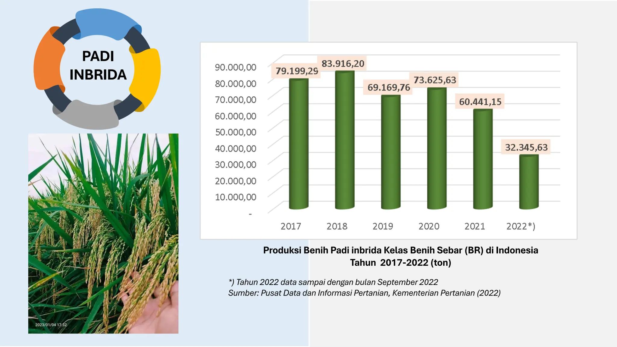 Produksi Benih Tanaman Pertanian 2024_hari prasetyo.pdf