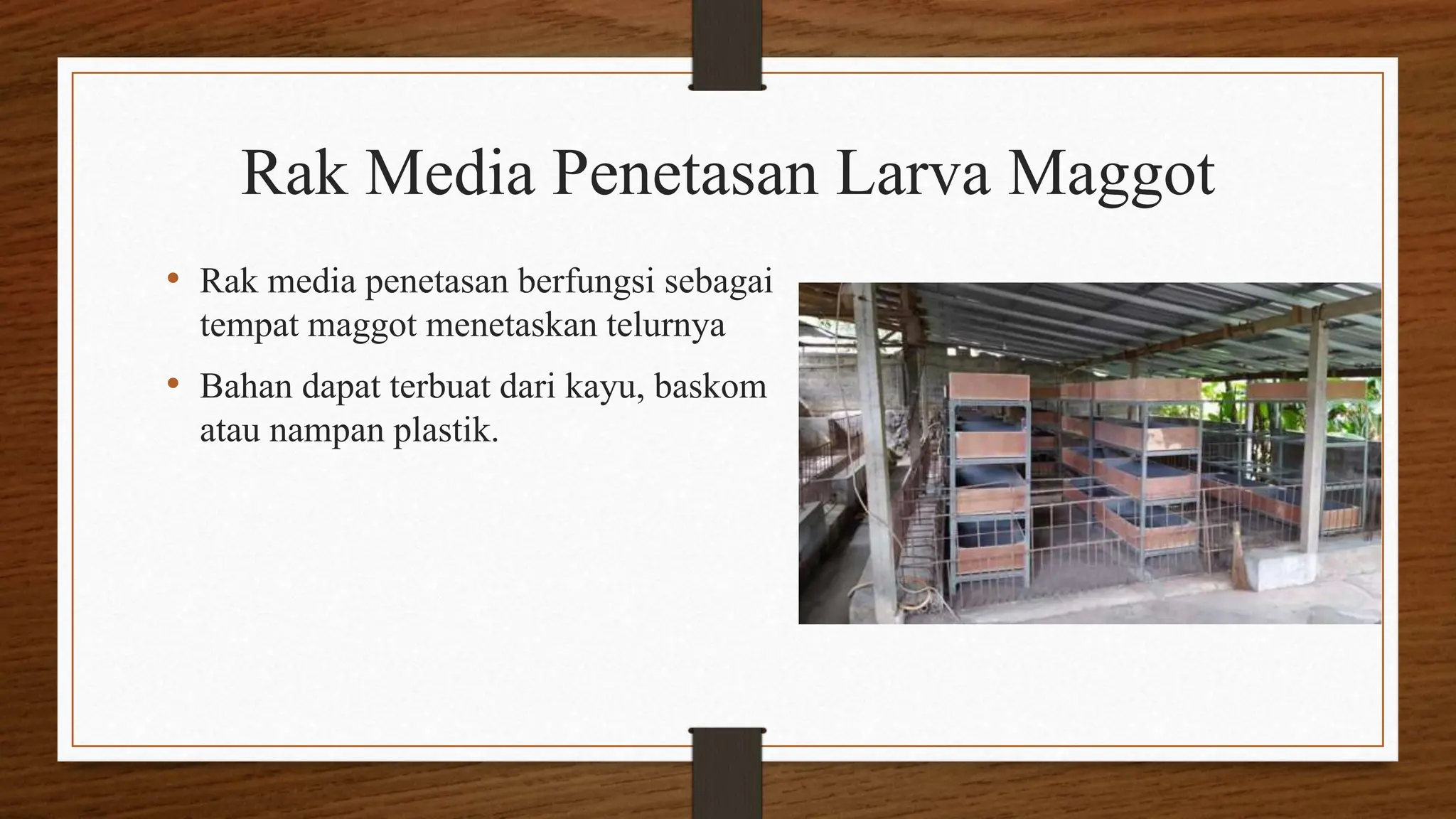 Produksi dan Nutrisi Satwa Harapan-Maggot-pertemuan 2.pdf