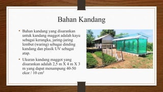 Produksi dan Nutrisi Satwa Harapan-Maggot-pertemuan 2.pdf | Free Download