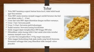 Produksi dan Nutrisi Satwa Harapan-Maggot-pertemuan 2.pdf