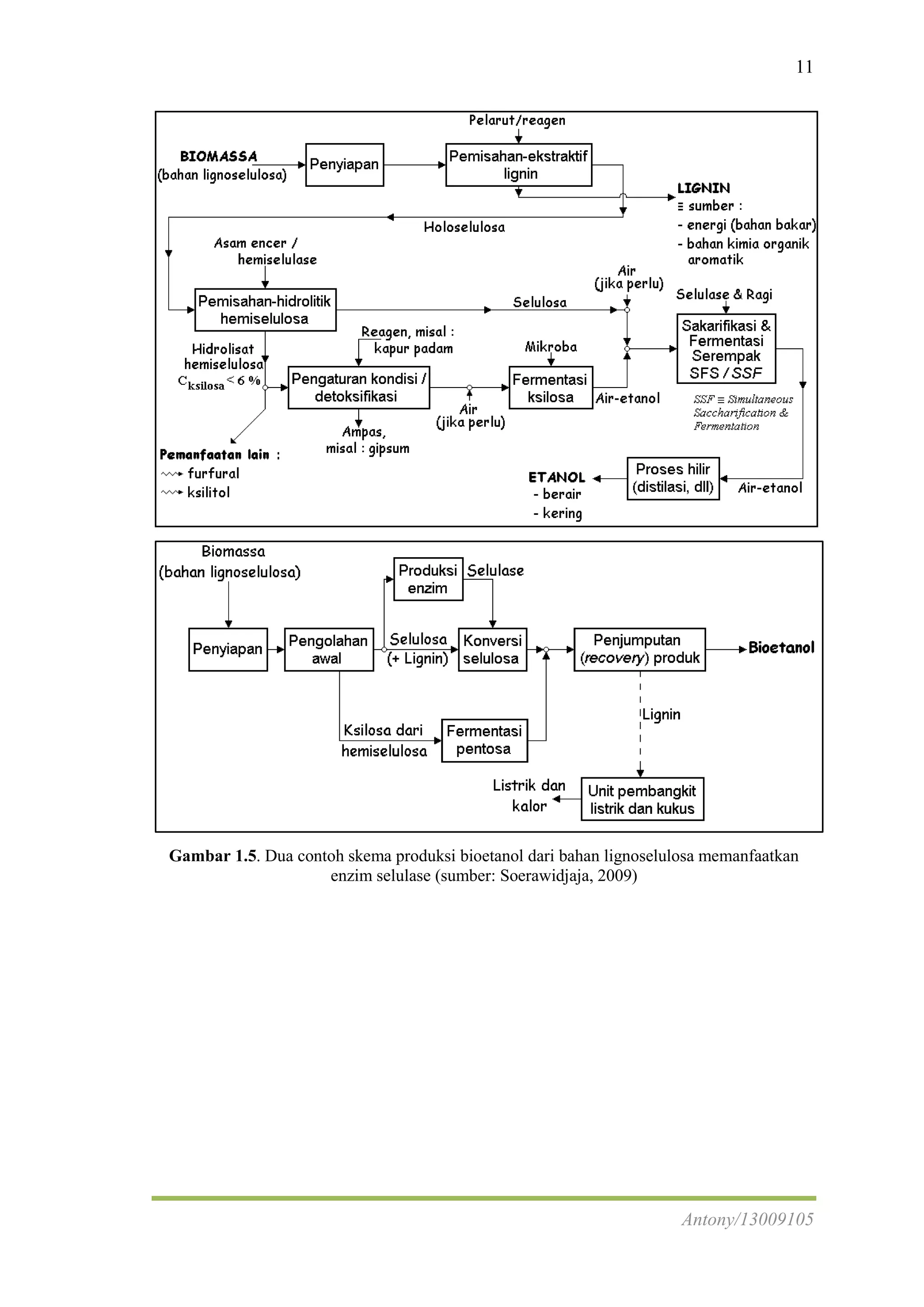 Produksi Enzim Selulase | DOCX
