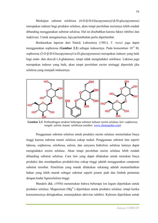 Produksi Enzim Selulase | DOCX