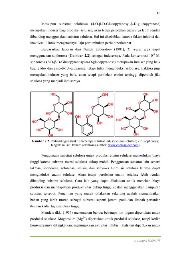 Produksi Enzim Selulase | DOCX
