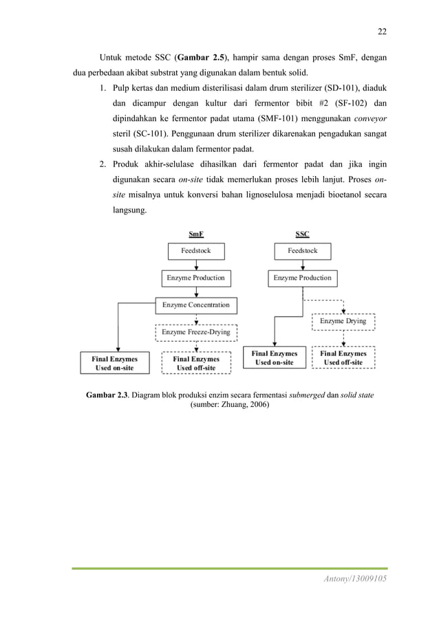 Produksi Enzim Selulase | DOCX