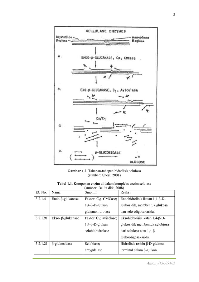 Produksi Enzim Selulase | DOCX